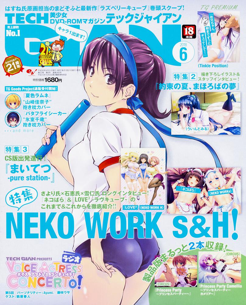 「TECH GIAN 2018年6月号」 [TECH GIAN] - KADOKAWA